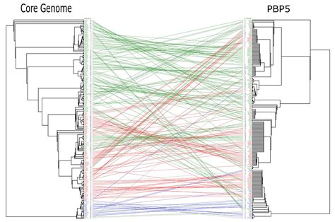 R How Do I Generate A Color Coded Tanglegram Bioinformatics Stack