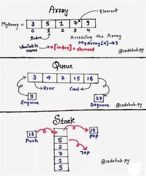 Organize Categorical Data Learn Computer Science Computer Coding