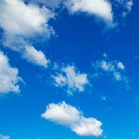 Pluto Head Live Youtube