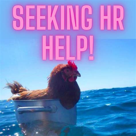 Hi Everyone Im Looking For Hr Leaders Aus Or Us About A New Ai