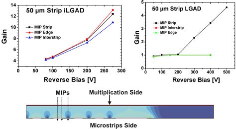 Gain Simulation By Using Mip On Strip Ilgad Left And Strip Lgad Download Scientific Diagram