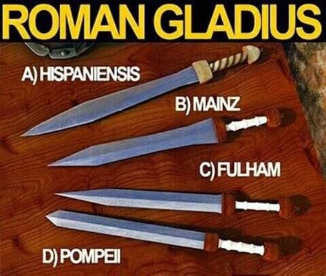 Different Types Of Roman Gladius Swords Artofit