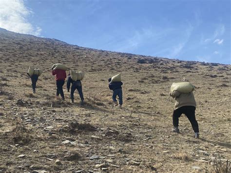 Ой уулын туруутан амьтдын байршил нутагт эрдэс тэжээлийн дэмжлэг үзүүлж байна