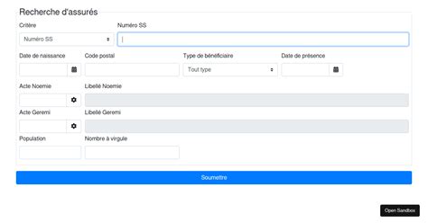 Vuejs Form Enhanced Datepickers And Inputs Forked Codesandbox