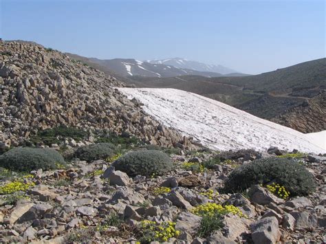 Ecological Gradients And Ecotones Kark Group