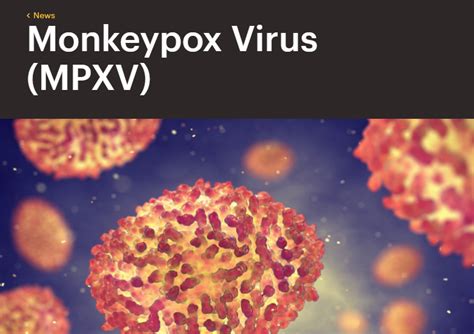 Sex Work Monkeypox Blood Donations With Matthew Roberts Colin Batrouney Rodney Croome CR