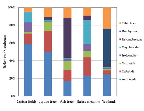 Taxonomic Composition Of The Soil Mesofauna Among The Land Use Types