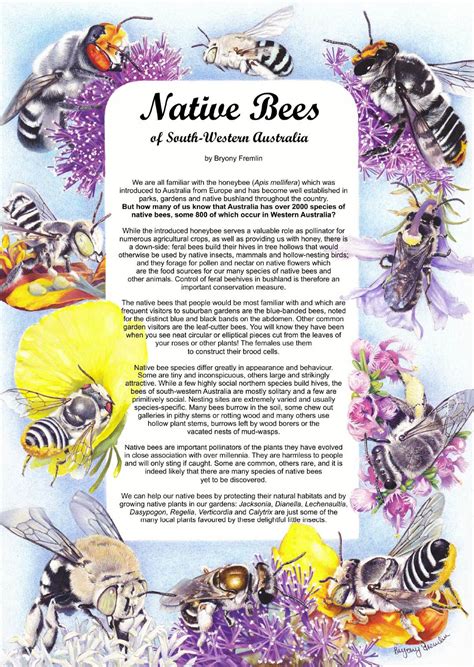 Flowers For Bees Poster At Bessie Humble Blog