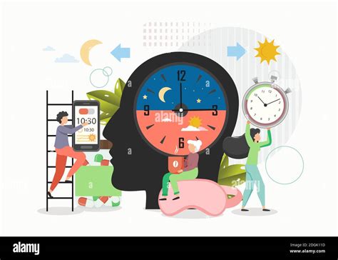Biorhythms Day And Night Activity Flat Vector Illustration Rhythmic Biological Cycles Human