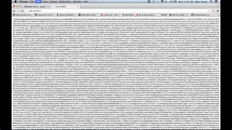D3 To Png Using Phantomjs As Web Server Youtube
