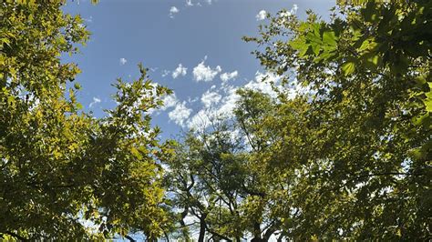 Ctrl Alt Delight — Why Im Starting This