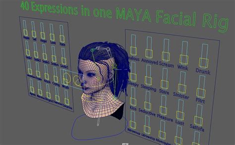 40 Female Expressions In One MAYA Facial Rig