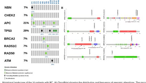 Figure 1 From Targeted Gene Panel Sequencing Unveiled New Pathogenic