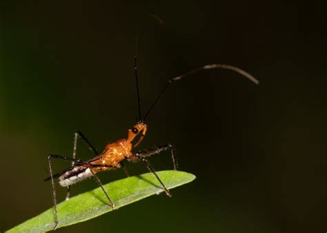 Tiny World By Geevarghese