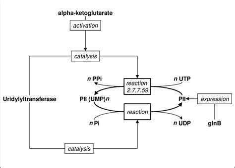 Schematic Representation Of The Action And Control Of A Multifunctional