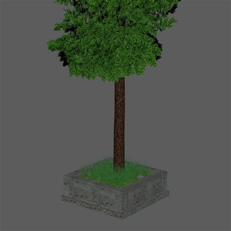 Cipres Tree 3d Model Turbosquid 1237804