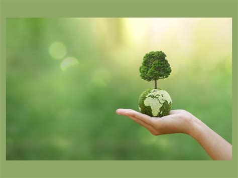 Uae Champions Greener Future Leading Regional Desertification Fight On