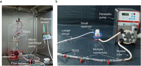 Visual Display Of The Custom‐made Bioreactor Modifications A The