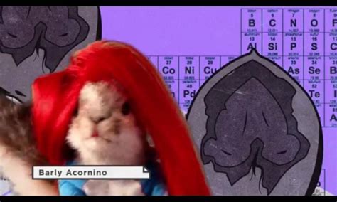 Two Squirrel Code Spoofs Of Girl Code Are Better Than One Nuts The