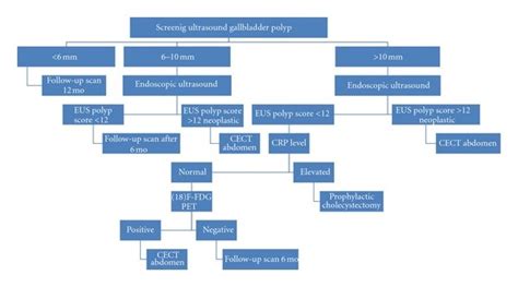 Algorithm For Management Of Gall Bladder Polyp Eus Endoscopic