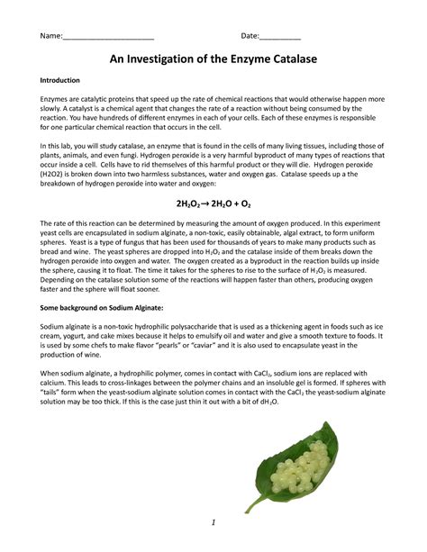 Yeast Spheres Lab Name Date An Investigation Of The Enzyme