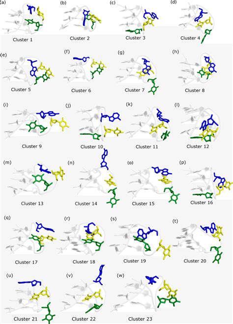 All The Major Conformations Of The Tta Propeller Loop Sampled In The