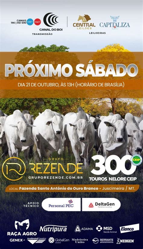 Leilão De Touros Nelore Ceip Do Grupo Rezende Será Realizado Amanhã