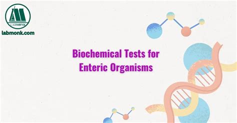 Biochemical Tests For Enteric Organisms Labmonk