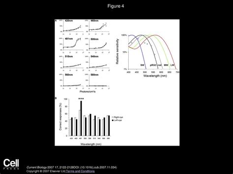 Volume 17 Issue 24 Pages December 2007 Ppt Download