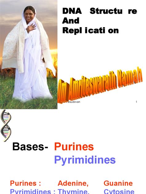 PDF 02 DNA Structure And Replication DOKUMEN TIPS