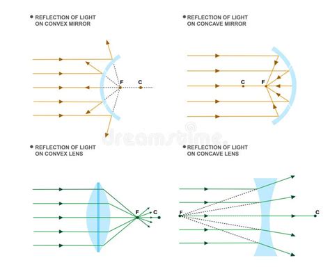 Convex Concave Lens Stock Illustrations 600 Convex Concave Lens Stock Illustrations Vectors