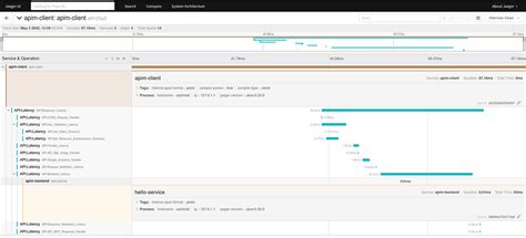 enable end to end message tracing in wso2 api manager with opentracing