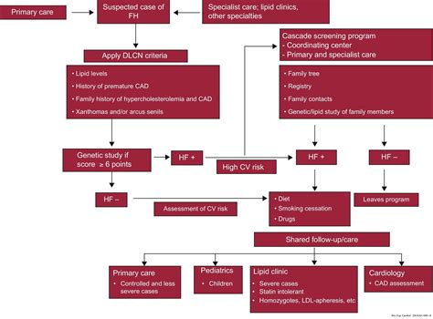 Screening For Familial Hypercholesterolemia A Model For Preventive