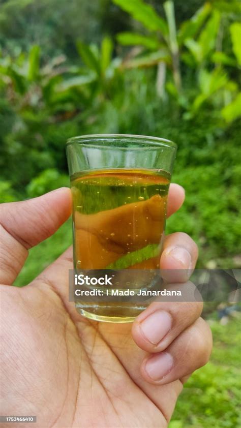 바깥의 녹색 자연에서 맥주 주류 음료로 가득 찬 작은 유리잔을 닫습니다 0명에 대한 스톡 사진 및 기타 이미지 0명 가득 찬 갈색 Istock