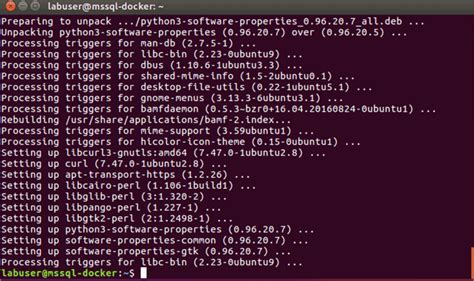 Sql Server Installation On Ubuntu Using Docker