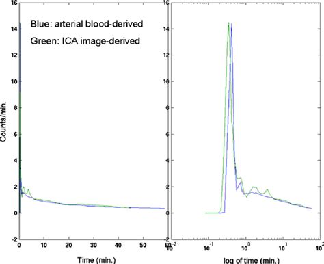 Close Correspondence Between The Image Derived Input Function Via