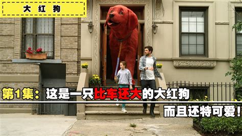 第1集：小女孩捡到一只红狗，不料隔天变成超级大红狗！高清1080p在线观看平台腾讯视频