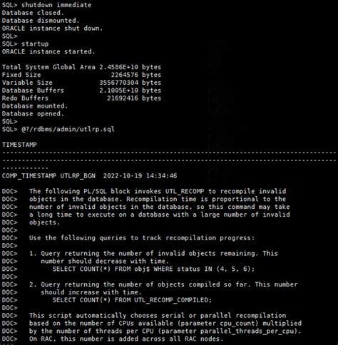 Windows单实例迁移至linux Rac 平台 实操 墨天轮