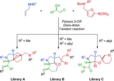 Scaffolds And Scaffold Based Compound Library Compound Library Design Boc Sciences