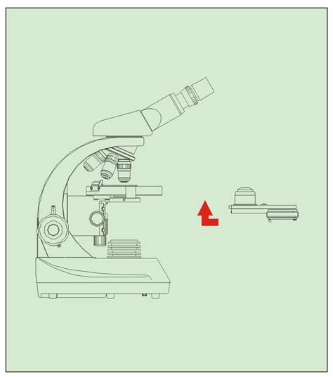 What Is Phase Contrast Microscope