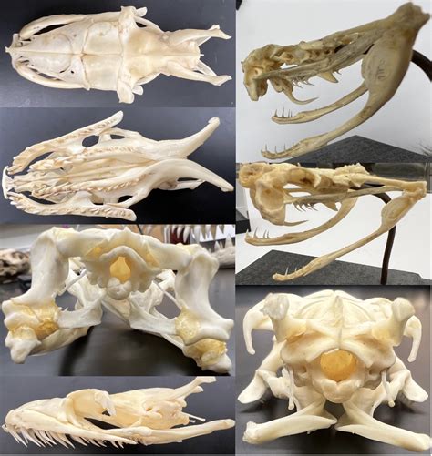 Lab 16 Python Diagram Quizlet