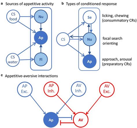 The Structure Of Pavlovian Conditioning And Resulting Conditioned