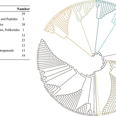 Dendrogram Of Features Structurally Identified And Classified According Download Scientific
