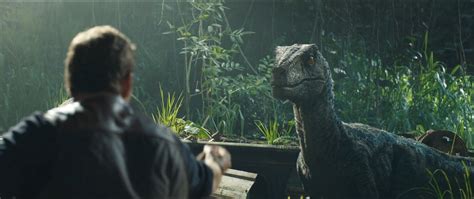 Jurassic World Fallen Kingdom Blue 6 By Giuseppedirosso On Deviantart
