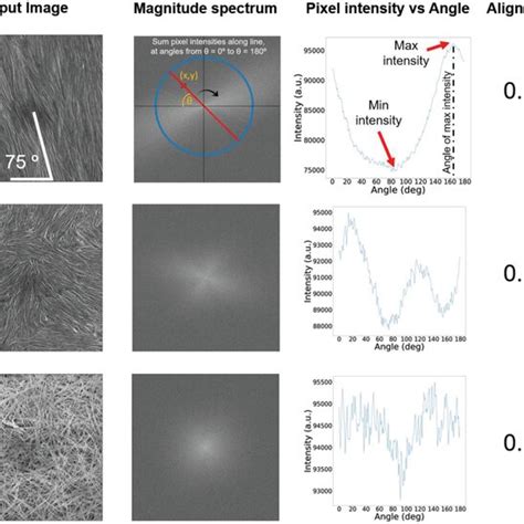 Input Sem Images Left Magnitude Spectrum Middle Pixel Intensity