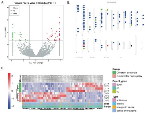 differentially expressed circrnas between onp and cxt groups a