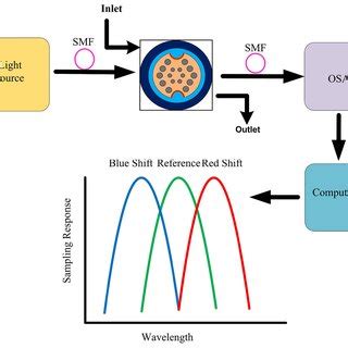 Schematic Illustration Of The Practical Layout For The Proposed Biosensor Download Scientific