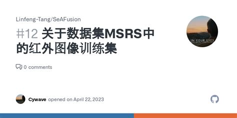 关于数据集MSRS中的红外图像训练集 Issue Linfeng Tang SeAFusion GitHub