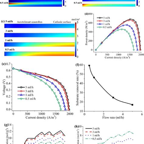 Effects Of Flow Rate On A Substrate Distribution At 19 H B