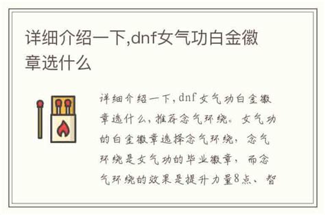 详细介绍一下 dnf女气功白金徽章选什么 兔宝宝游戏网